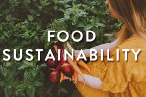 Discover the Importance of Food Sustainability on Grillio.com