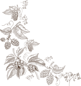 Exploring the World of Beer: A Guide to Different Types of Beer