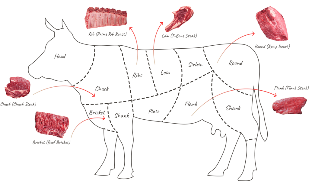 Essential Guide to Beef Cuts: From Ribeye to Brisket