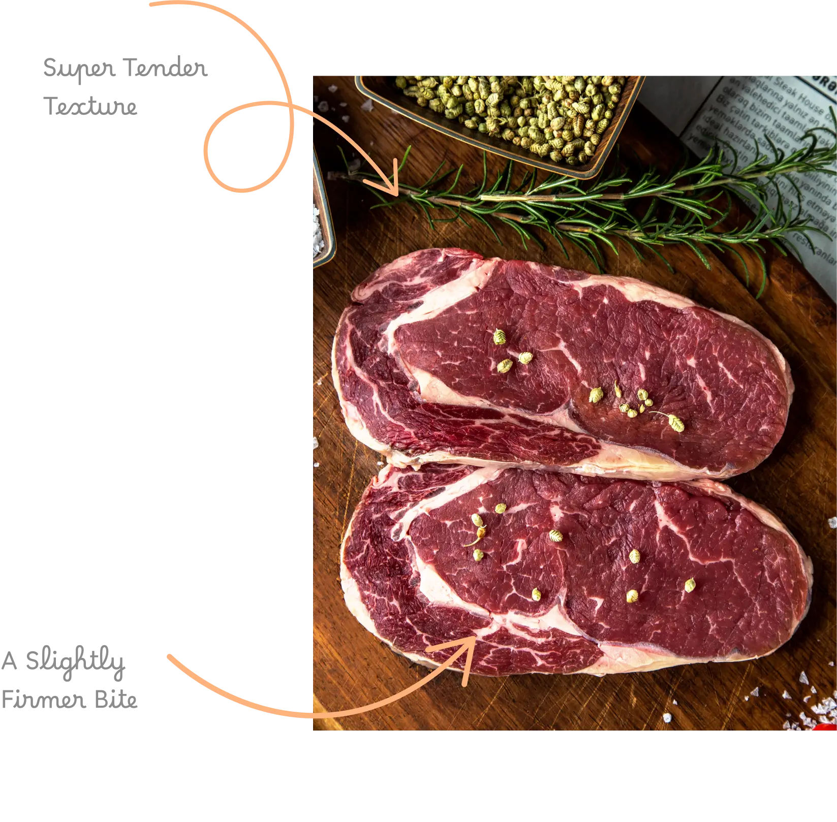 Cattle Breed Guide: Comparing Beef Quality