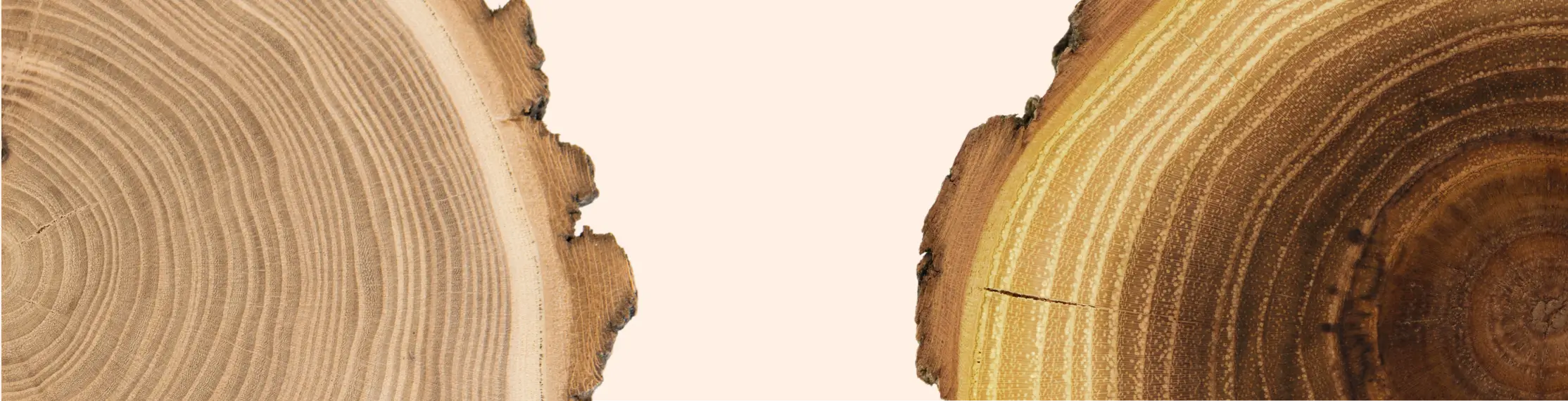 Teak vs Acacia Wood: Which Is Better for Your Outdoor Furniture?