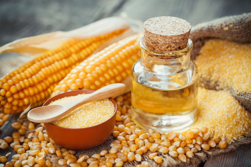 From Kernel to Crop: A Complete Guide to Understanding Corn