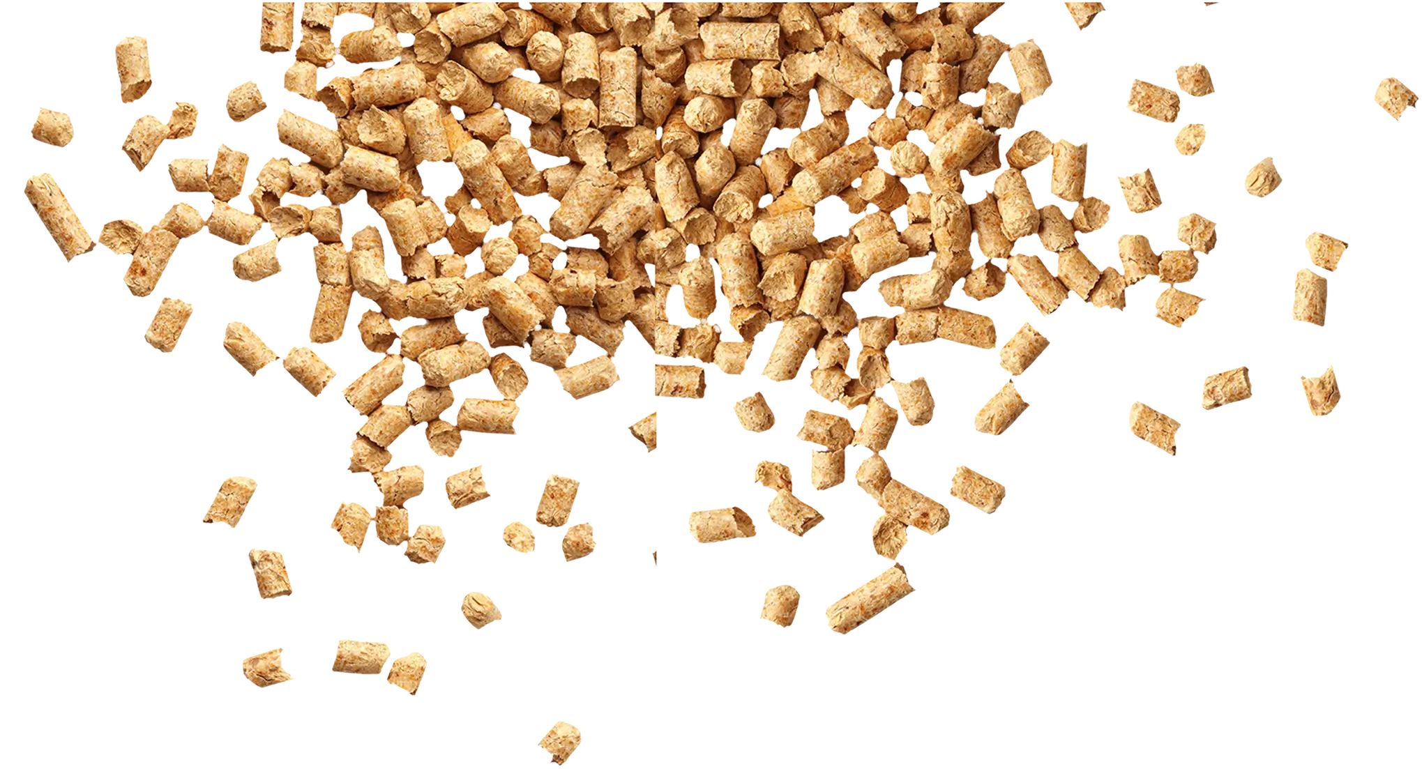 How to Choose the Best Wood Pellets for Premium Grilling