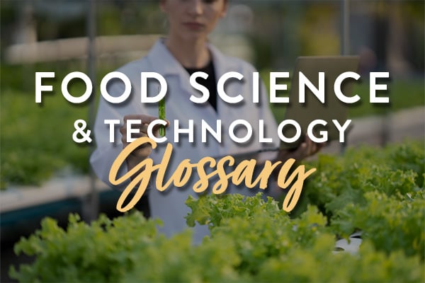 Food Science Glossary for Grill Enthusiasts | Master the Terms