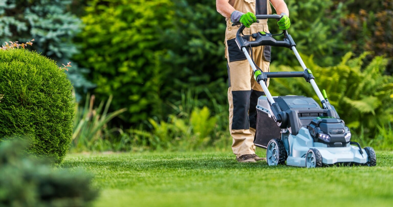 Tick Safety Tips for Backyards, Trails & Campsites